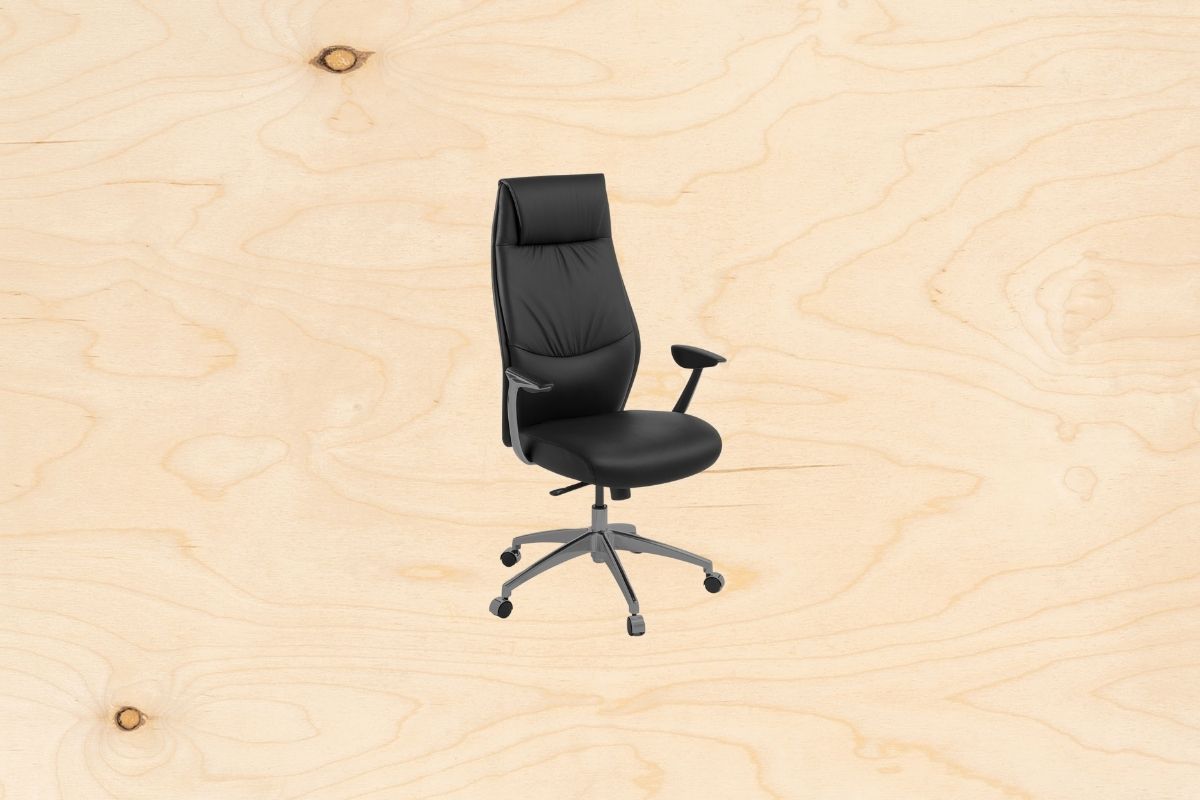 Office Chairs NZ: Explore Comfort and Functionality for Your Workspace ...